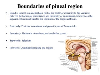 SURGICAL PINEAL REGION TUMORS.pptx