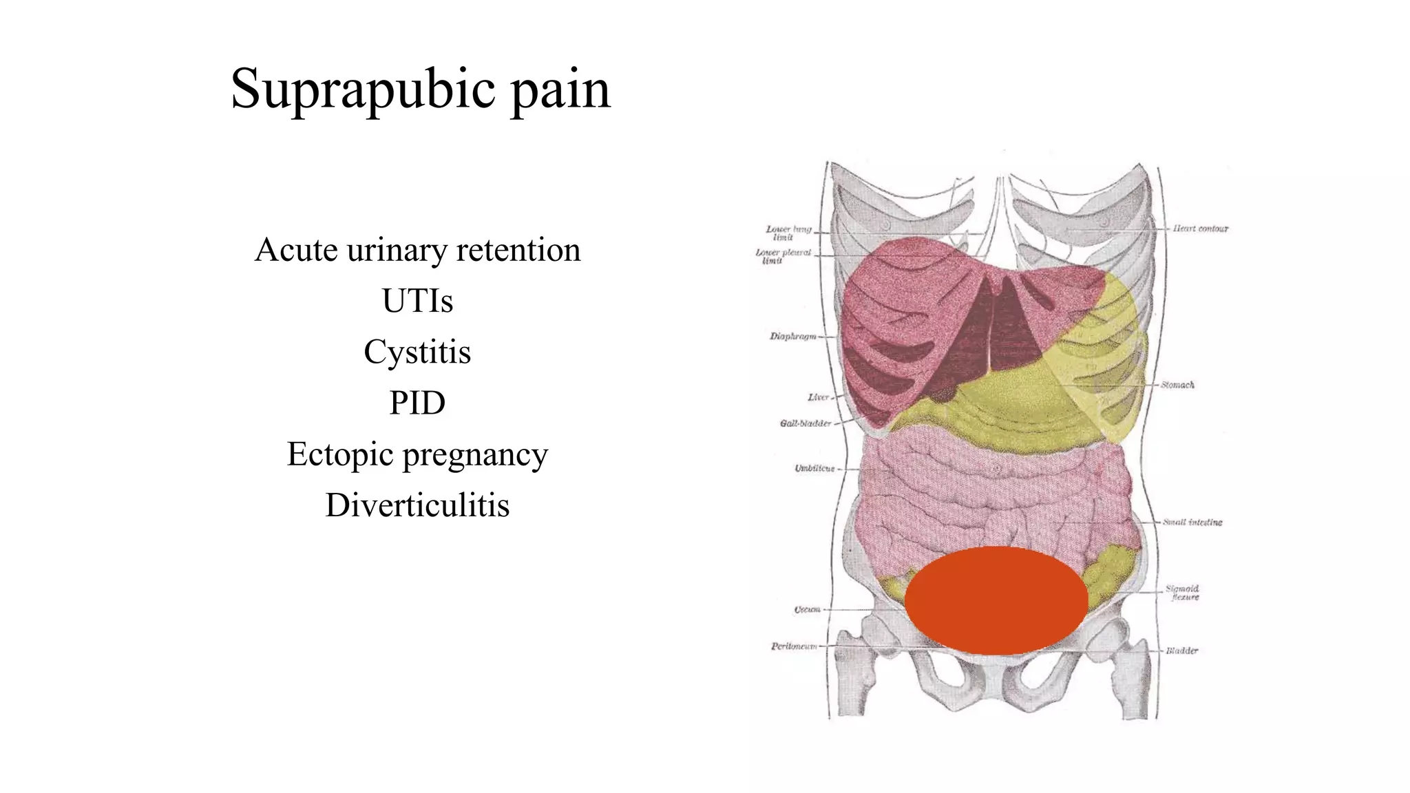quick abdomen radiology review .pptx