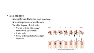 Surgical procedurnnnnn es in CAH.pptx