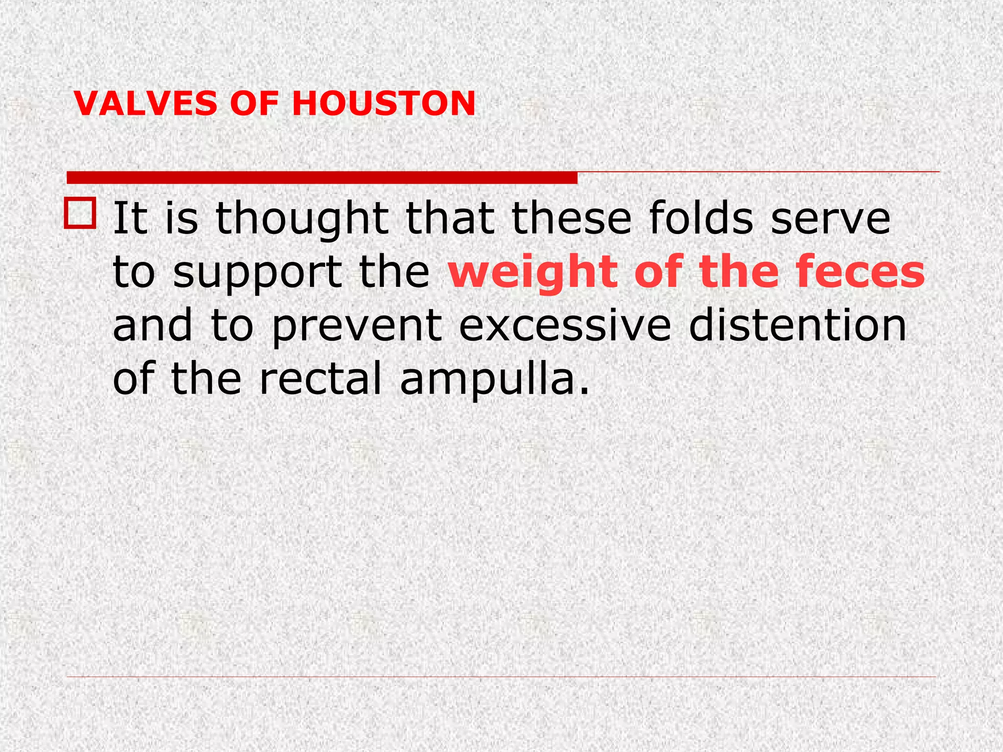 Surgical rectal anatomy | PPT