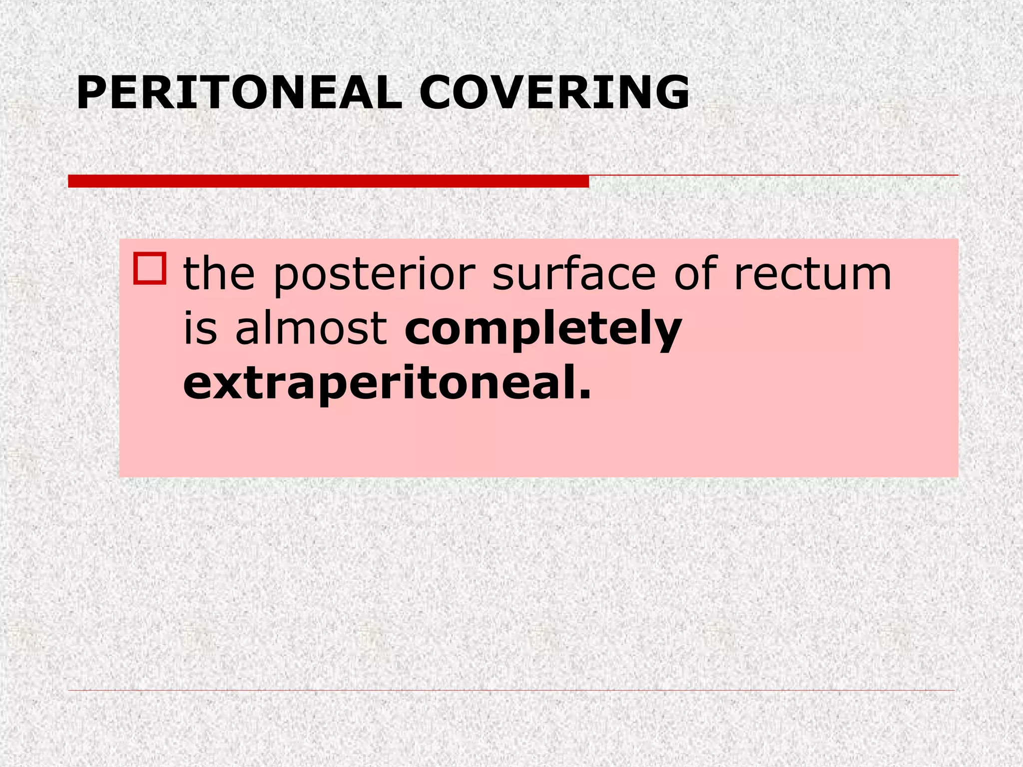 Surgical rectal anatomy | PPT