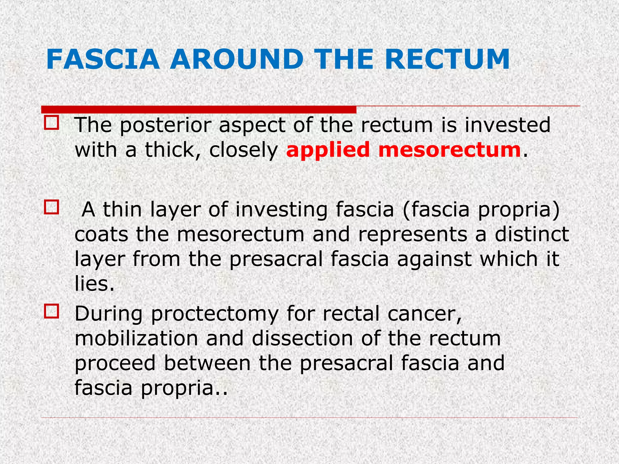 Surgical rectal anatomy | PPT