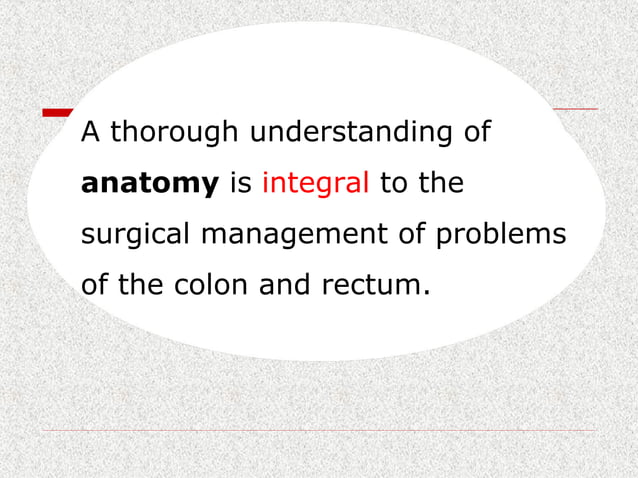 Surgical rectal anatomy | PPT