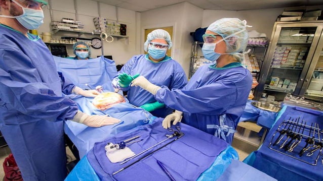 surgical services management.pptx | Healthcare Industry | Industries