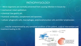 surgical site infection.pptx