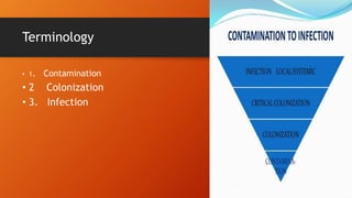 Surgical site infection revised | PPTX