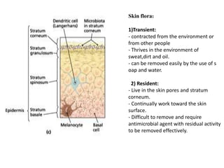 Surgical skin antiseptics | PPT