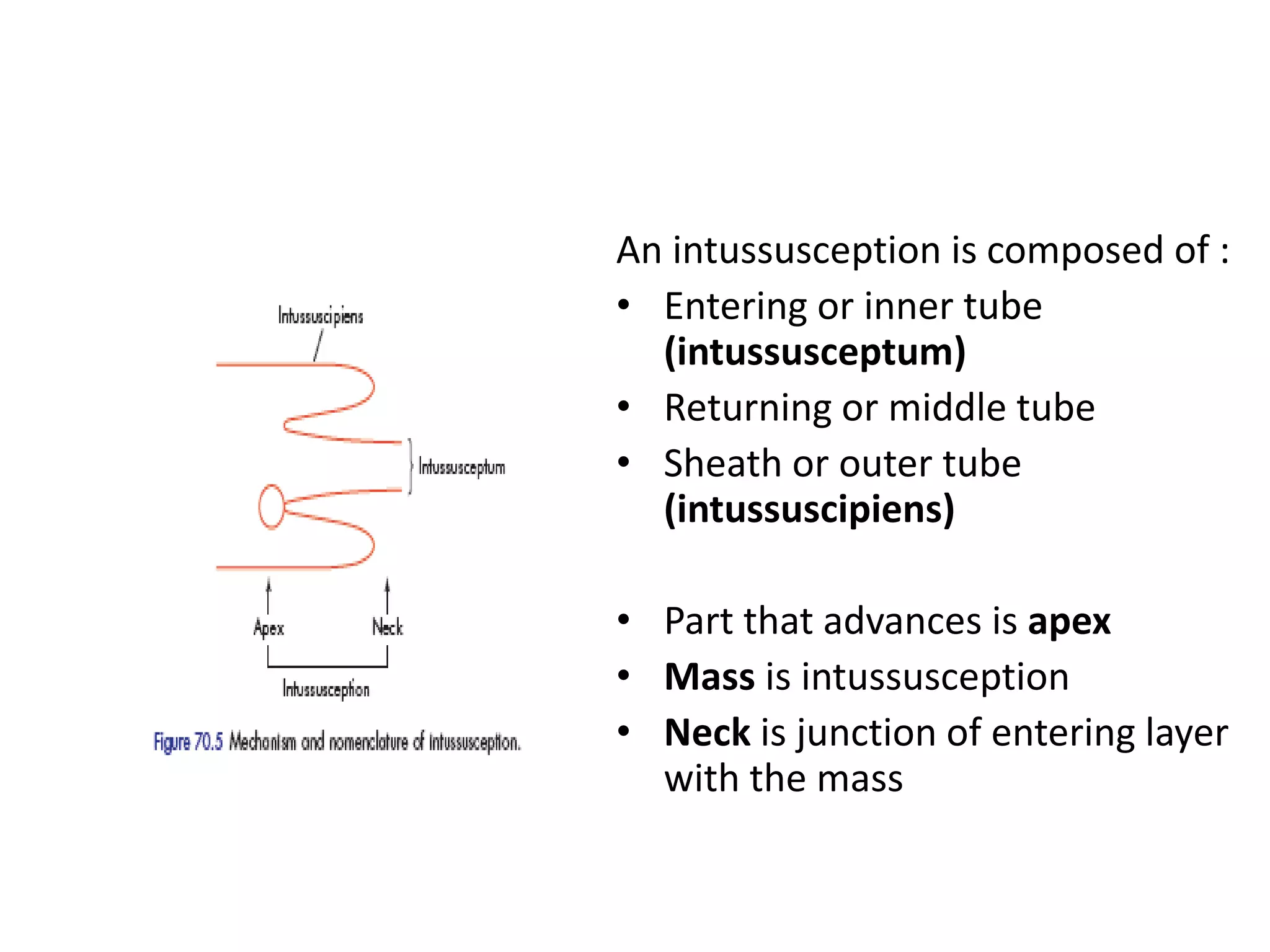 Surgical pathology specimens | PPTX