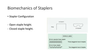 Surgical Staplers Presentation.pptx