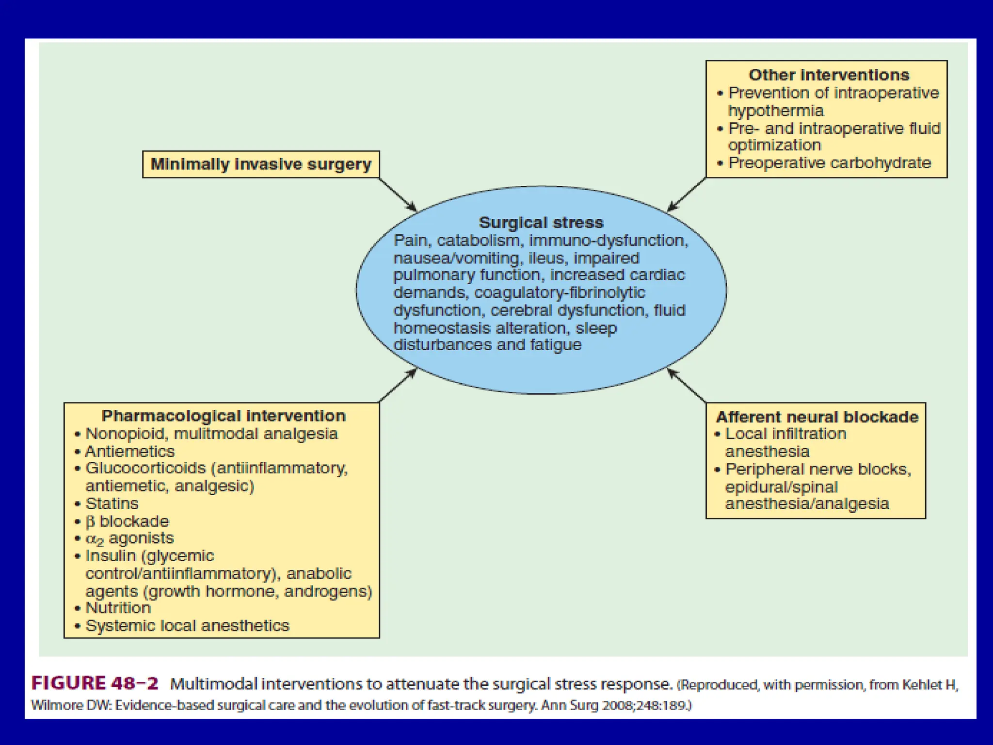 Details on the surgical stress response.ppt