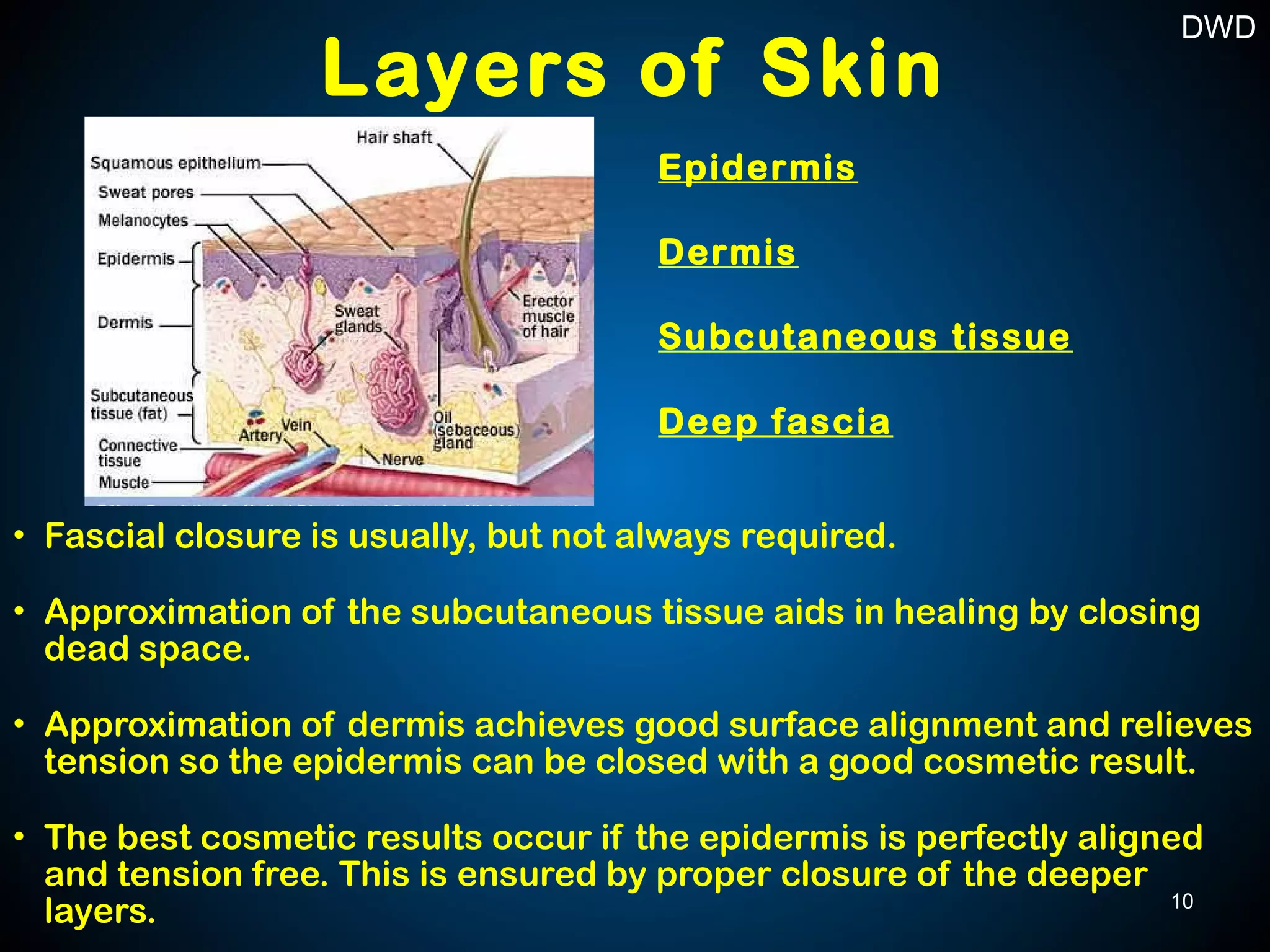 Surgical Sutures and Suturing Techniques | PPT