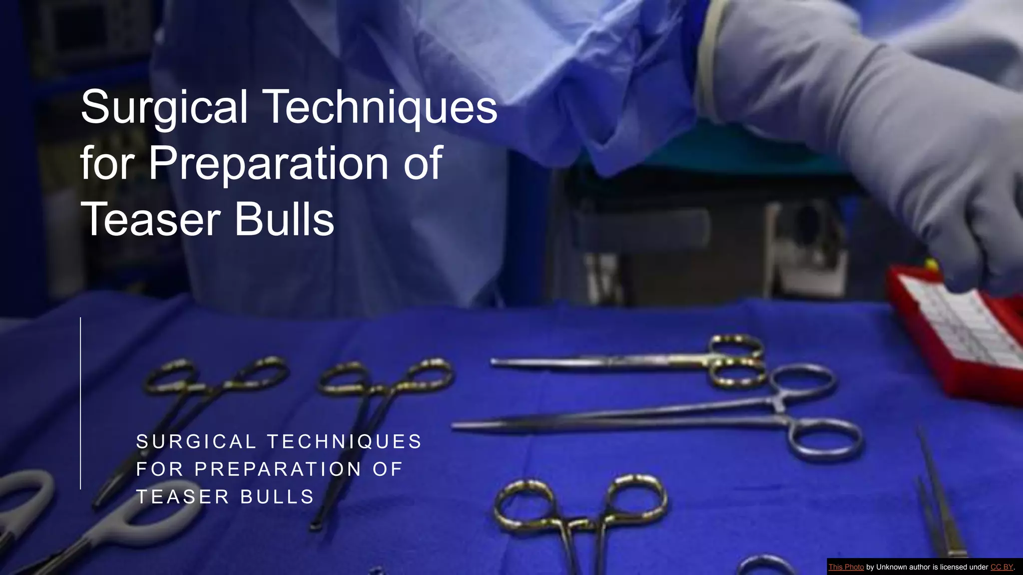 Surgical Techniques for Preparation of Teaser Bulls.pptx