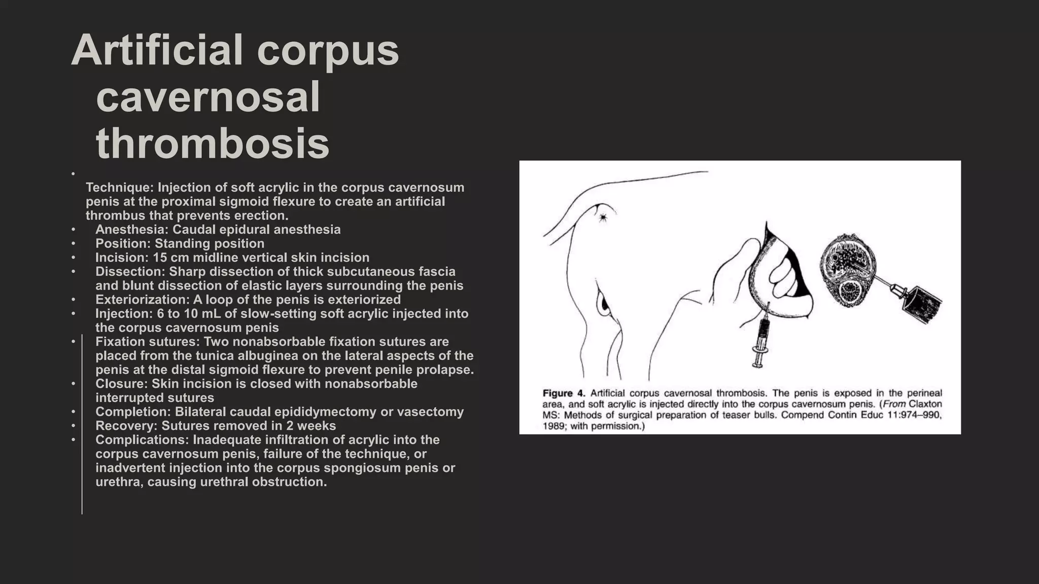Surgical Techniques for Preparation of Teaser Bulls.pptx
