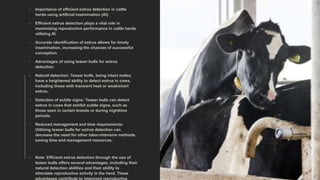 Surgical Techniques for Preparation of Teaser Bulls.pptx