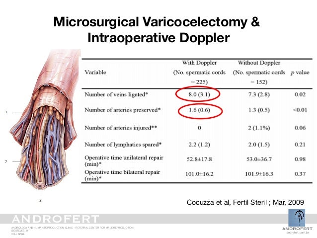 Surgical Techniques in Male Factor Infertility