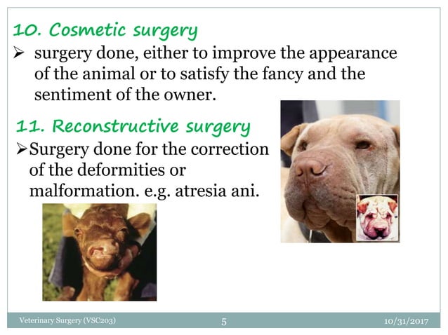 Surgical terms and reasons for surgery | PPT