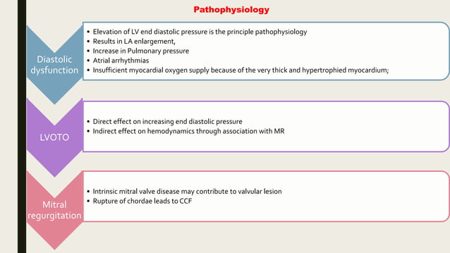 Hypertrophic Obstructive Cardiomyopathy (HOCM) | PPTX | Heart and ...