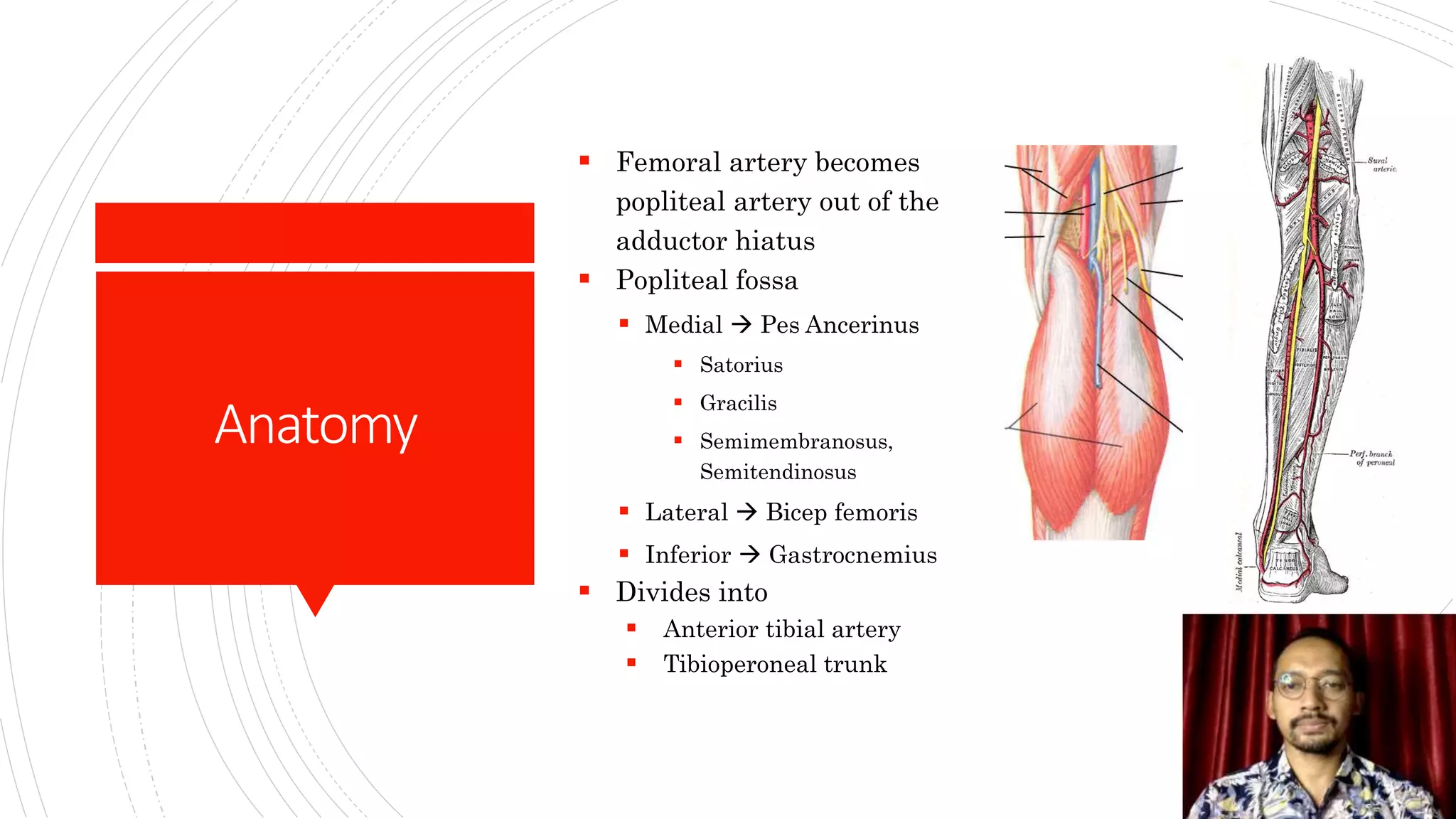 Surgical treatment for popliteal lesions | PPTX | Death, Injury, or ...