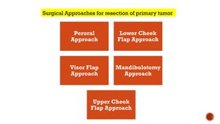 Surgical Treatment of oral cavity proper.pptx