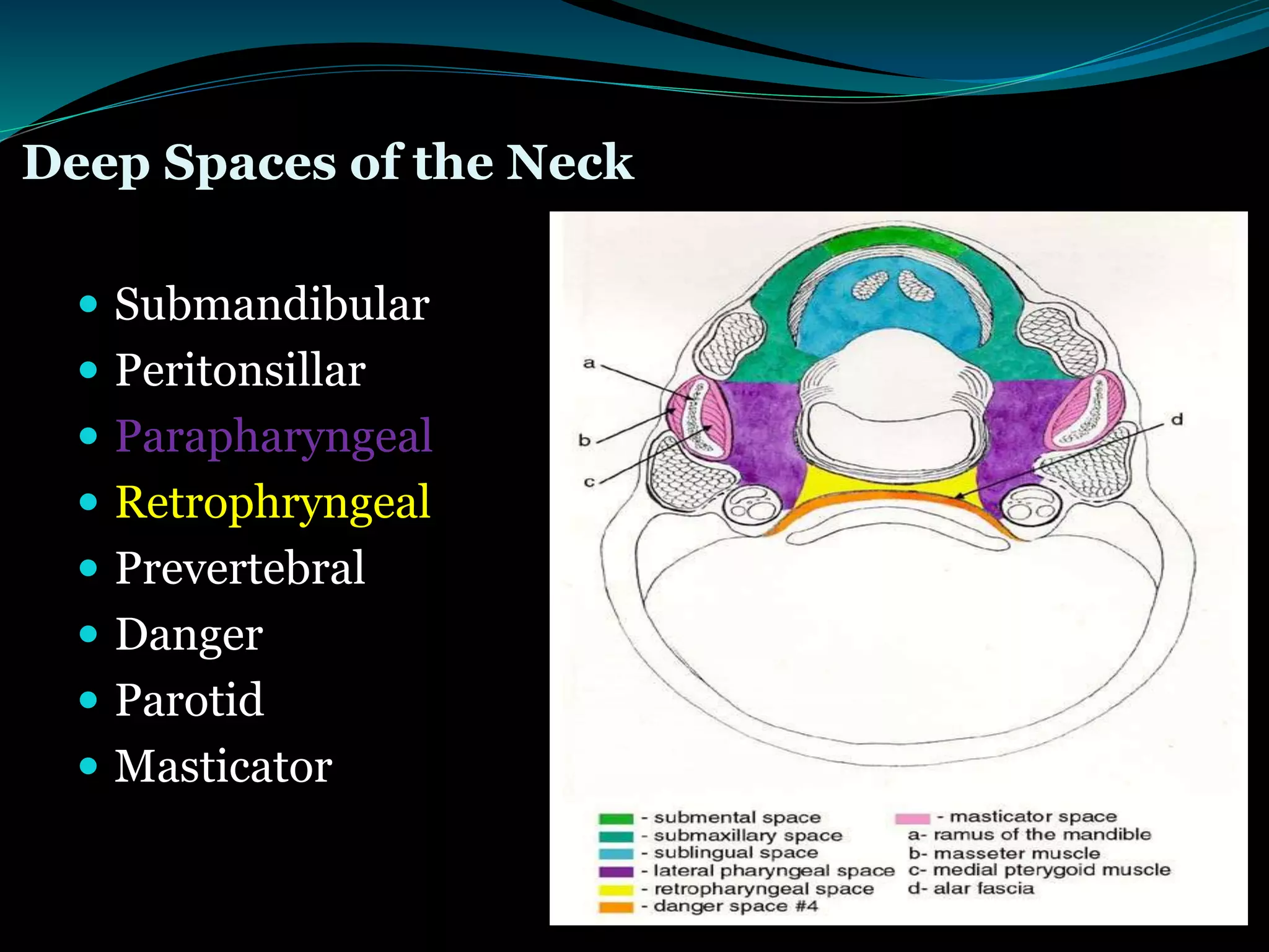 Surgical treatment of paraphyrngeal and retropharyngeal abscesses | PPTX