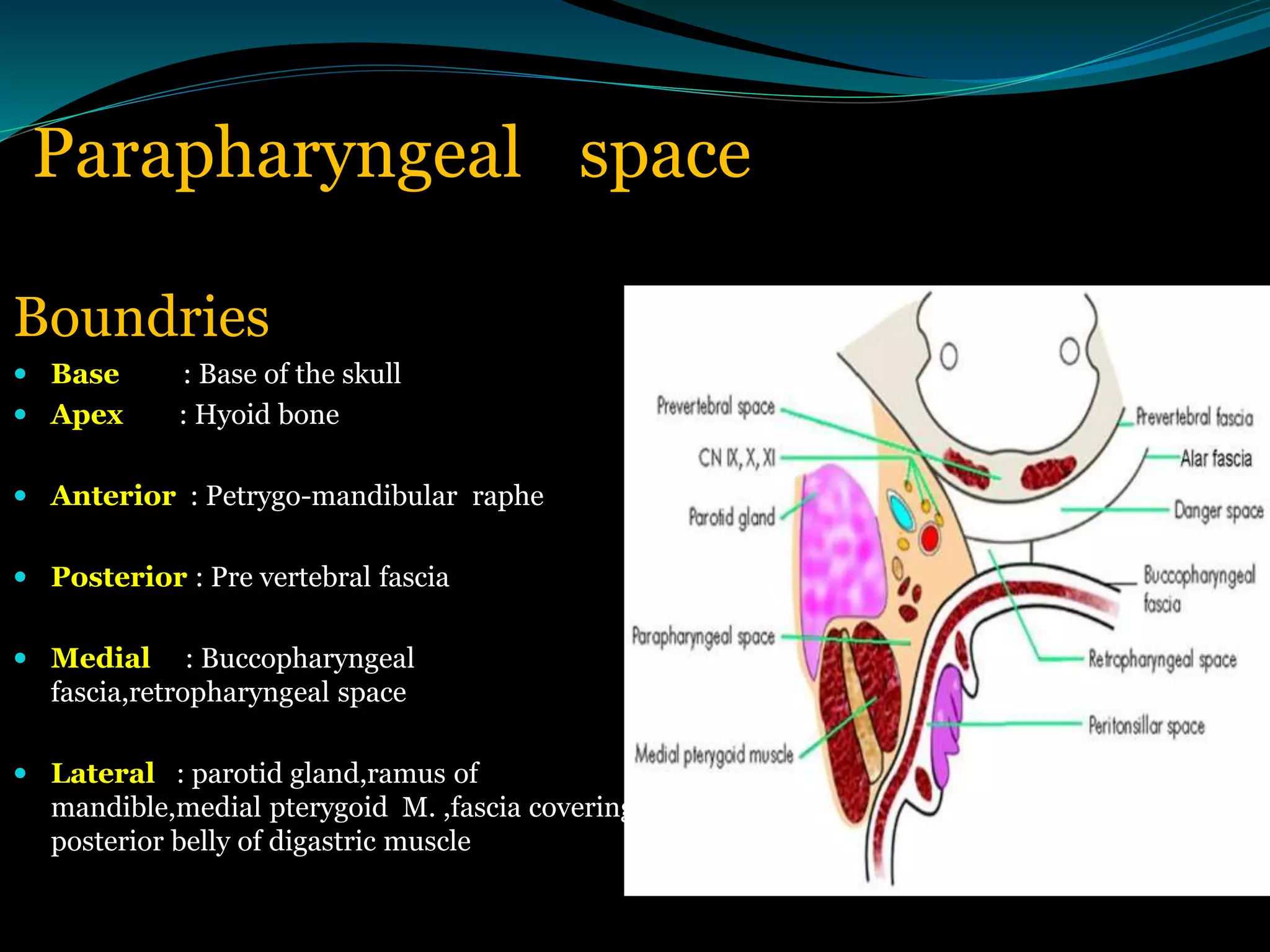 Surgical treatment of paraphyrngeal and retropharyngeal abscesses | PPTX