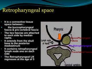 Surgical treatment of paraphyrngeal and retropharyngeal abscesses | PPTX
