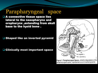Surgical treatment of paraphyrngeal and retropharyngeal abscesses | PPTX