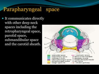Surgical treatment of paraphyrngeal and retropharyngeal abscesses | PPTX