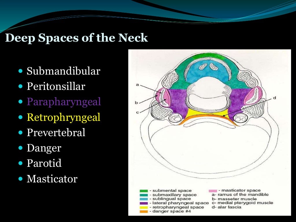 Surgical treatment of paraphyrngeal and retropharyngeal abscesses