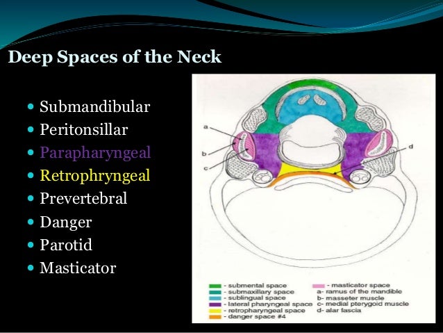 Surgical treatment of paraphyrngeal and retropharyngeal abscesses