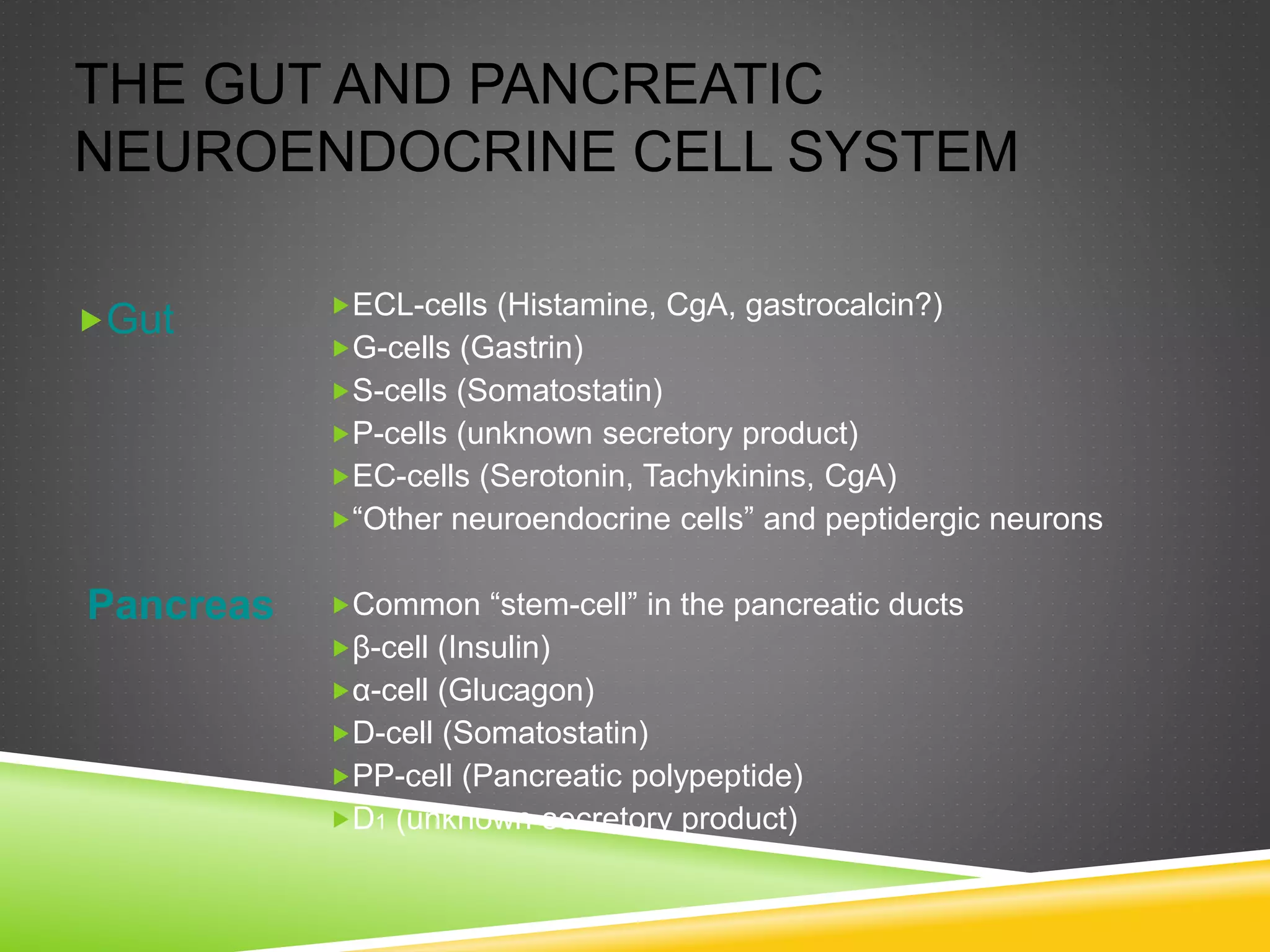 Pancreas Surgical Management | PPT
