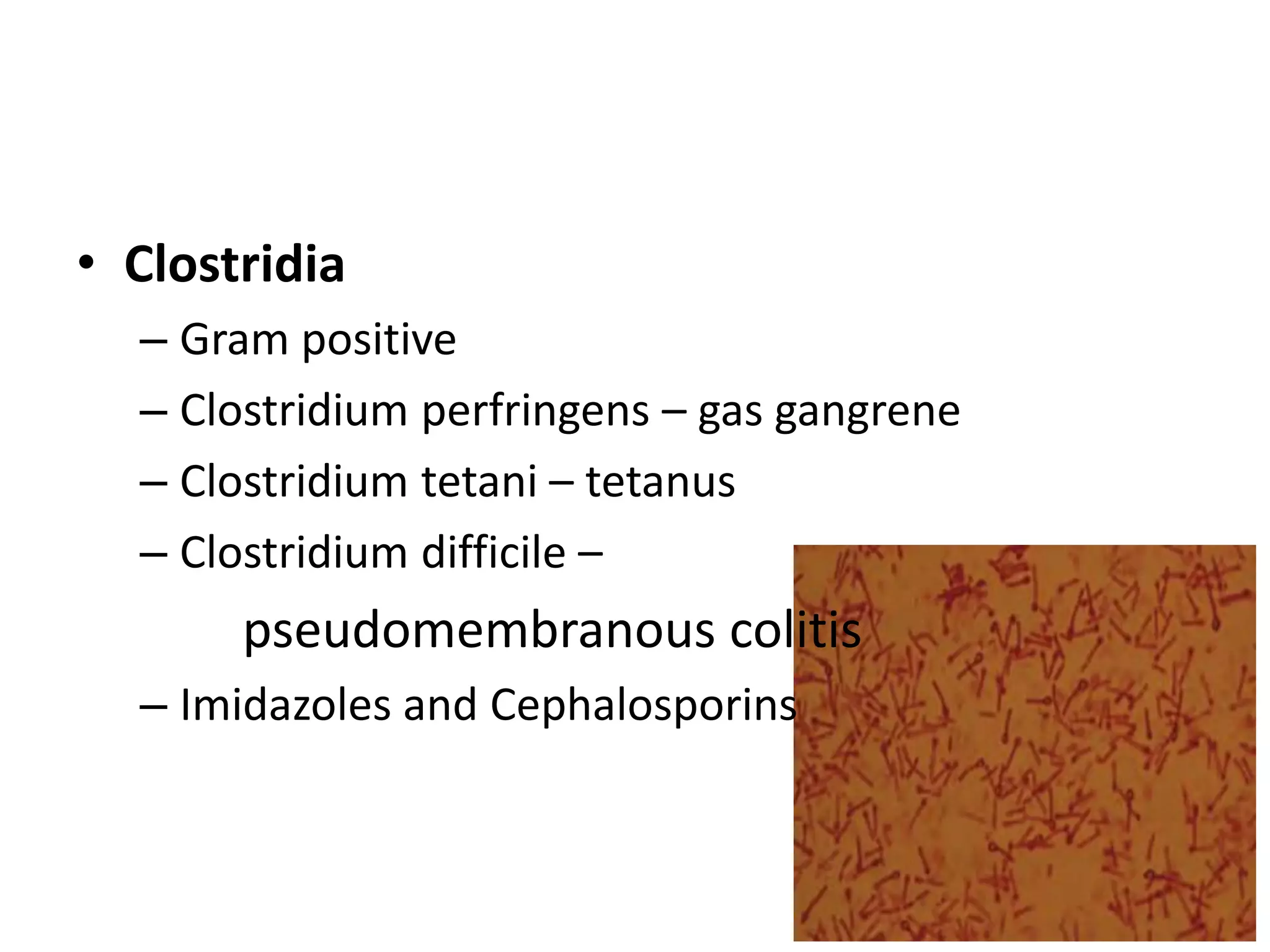 Surgical site infection | PPTX