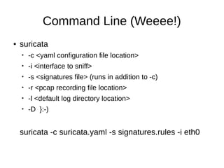 Suricata | PDF