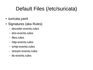 Suricata | PDF
