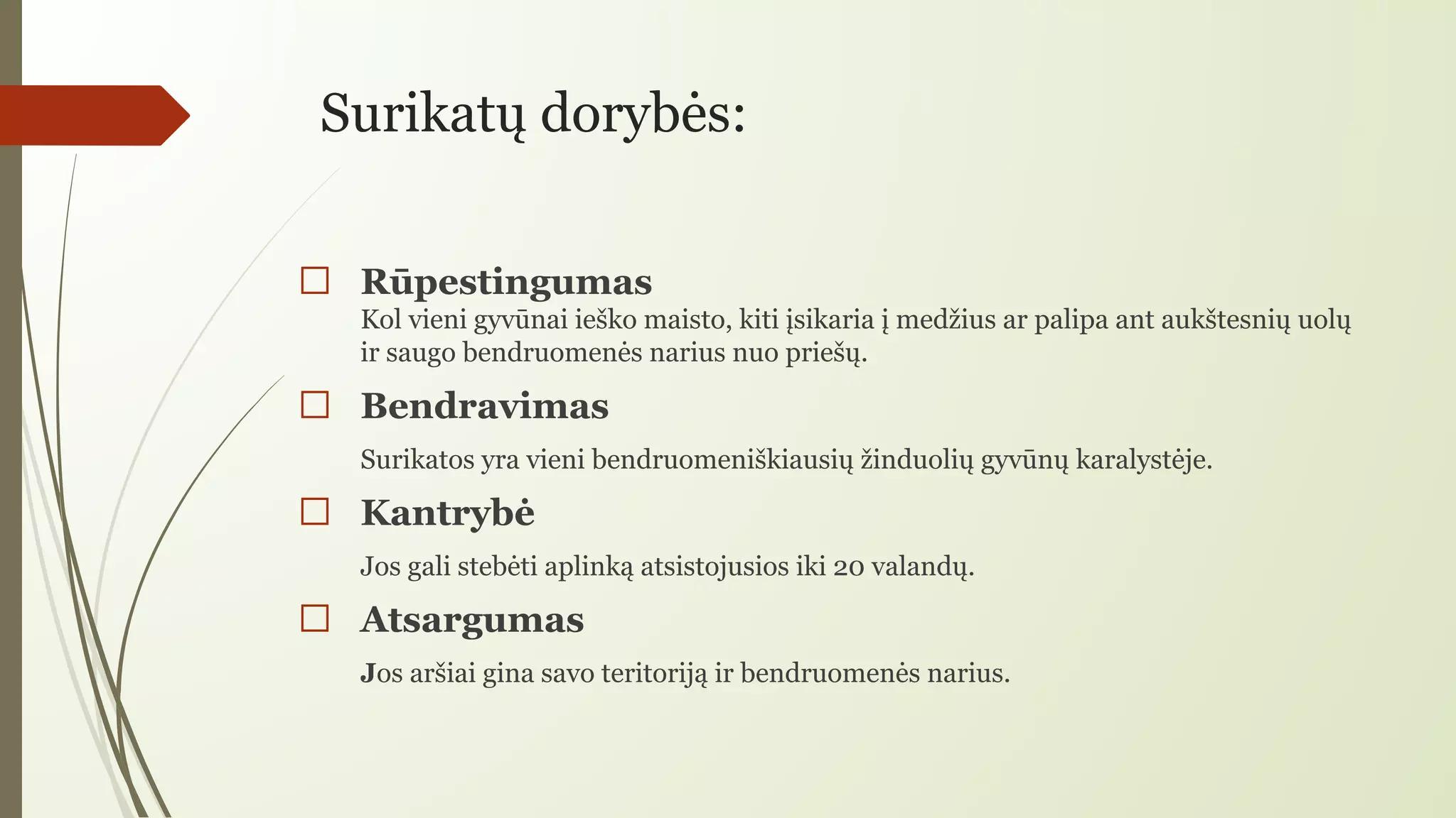 Surikatos | PDF