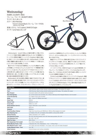 SURLY 2020 catalog for web | PDF