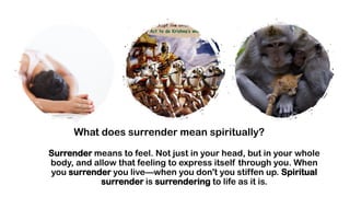 Surrender & be @ Peace | PPT