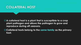 Collateral host Management PATHOLOGY 202.pdf