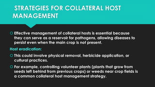 Collateral host Management PATHOLOGY 202.pdf