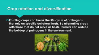 Collateral host Management PATHOLOGY 202.pdf