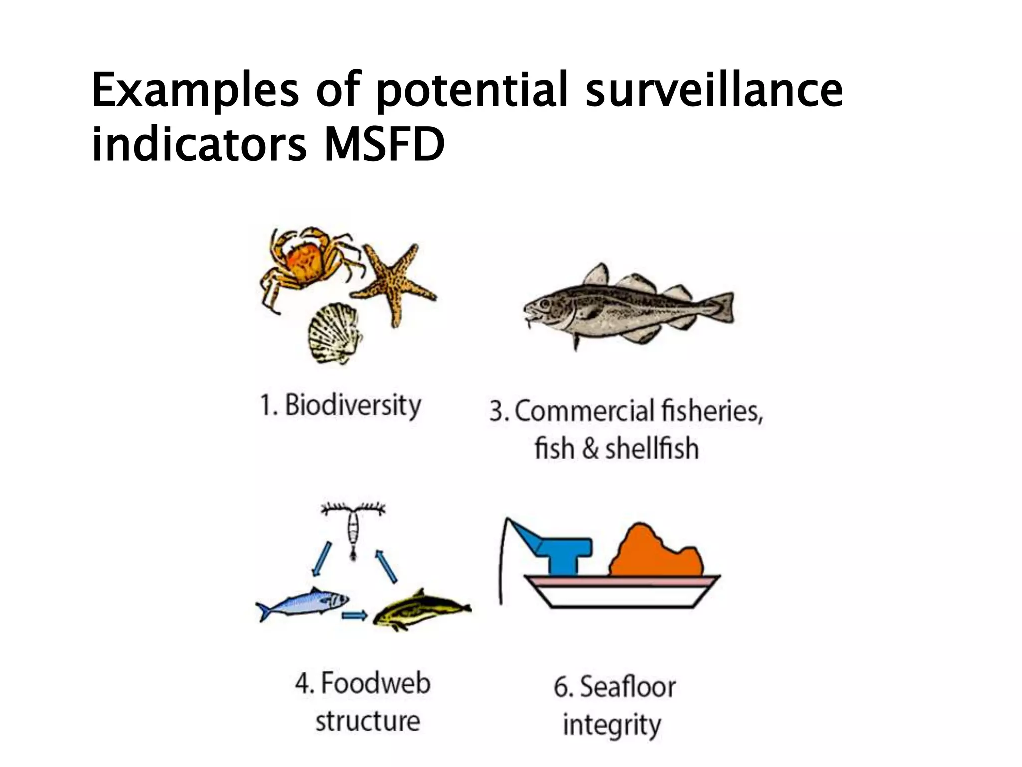 MSFD Surveillance indicators for marine management | PPTX
