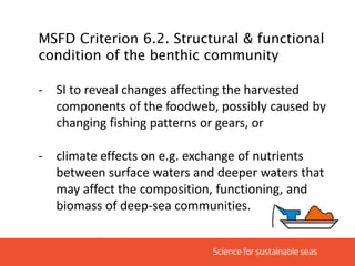 MSFD Surveillance indicators for marine management | PPTX