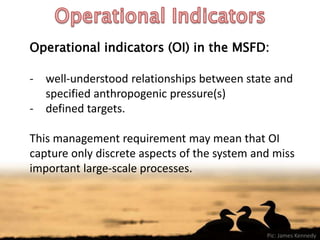 MSFD Surveillance indicators for marine management | PPTX