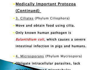 Survey Of Protozoans | PPT