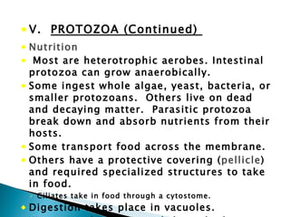 Survey Of Protozoans | PPT