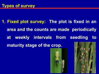 Survey and sampling and forcasting | PPT