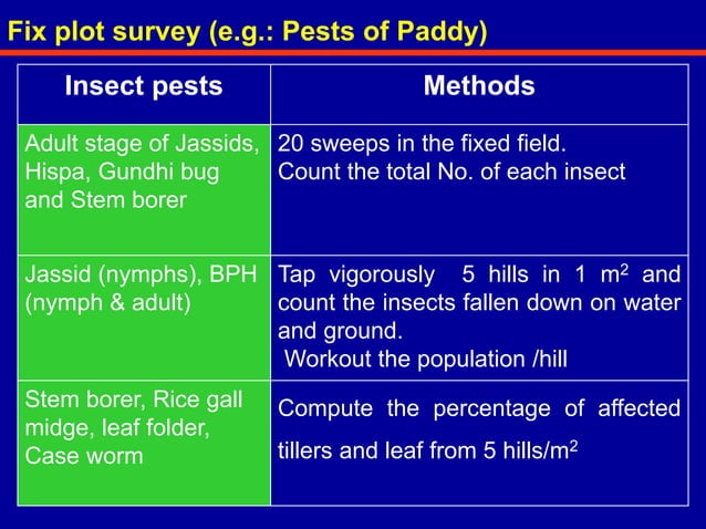 Survey and sampling and forcasting | PPT | Beekeeping | Hobbies & Interests