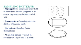 Survey_and_Surveillance_in_IPM (Integrated Pest Management).pptx