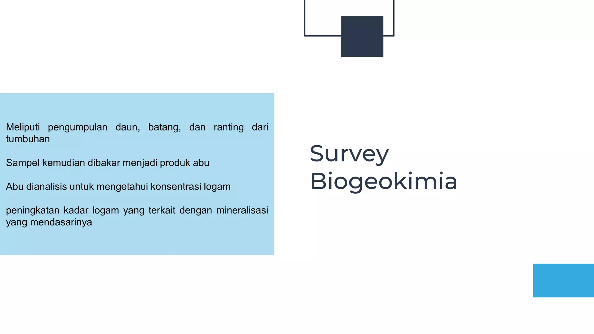 Survey Geokimia.pptx