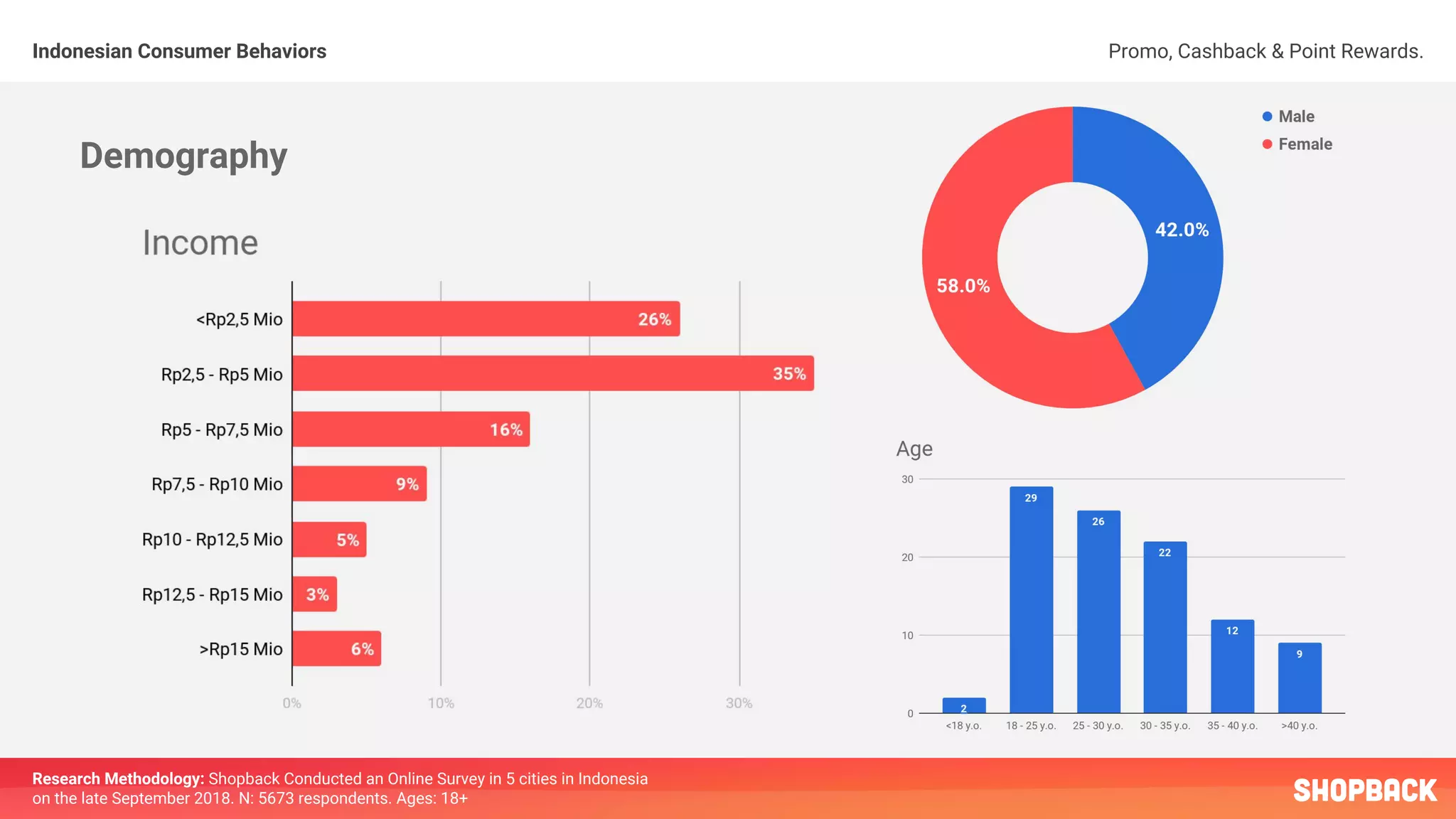 Survey: Indonesia Consumer Behaviour | PDF